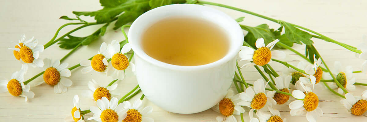 Sleep Tea - Natural Sleepy Time Teas in Bulk | The Tea Spot