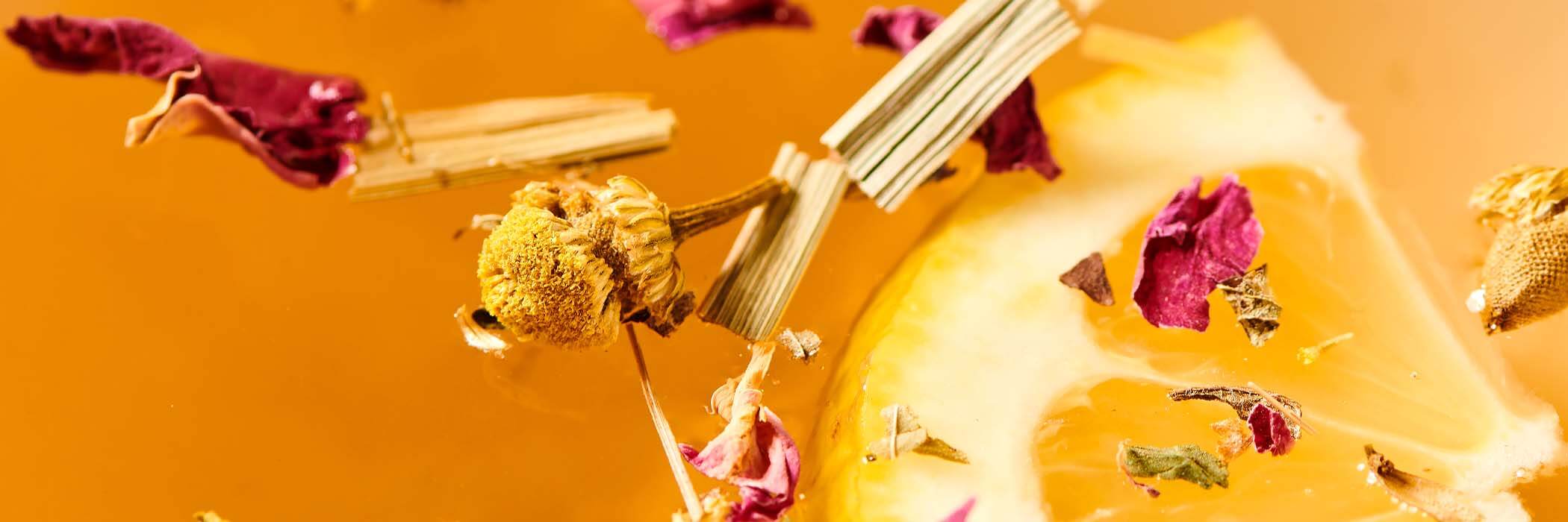 Shop Best-Selling Teas Online | Best Tea Brand – TEA SPOT