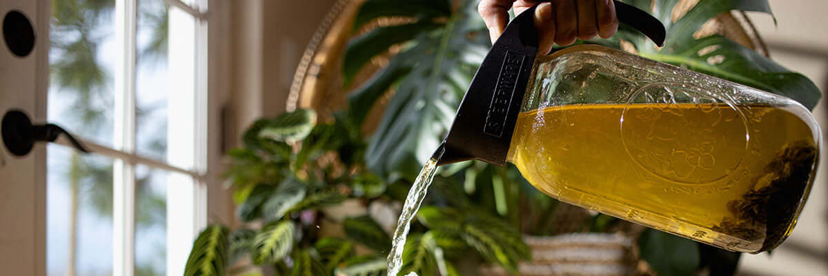 CRAFT COLD BREWING – The Tea Spot