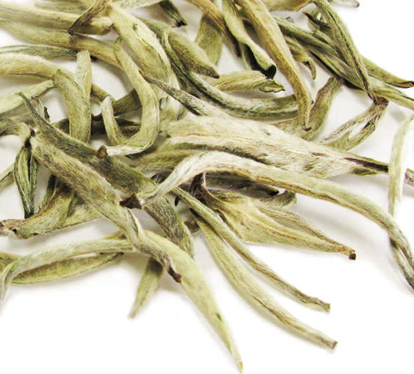 Jasmine Silver Needle - Organic Jasmine White Tea | Tea Spot – The Tea Spot