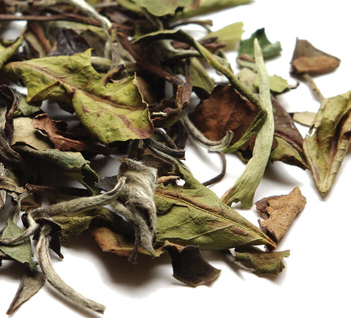 Organic White Peony - Organic Monkey Picked White Tea | Tea Spot – The ...